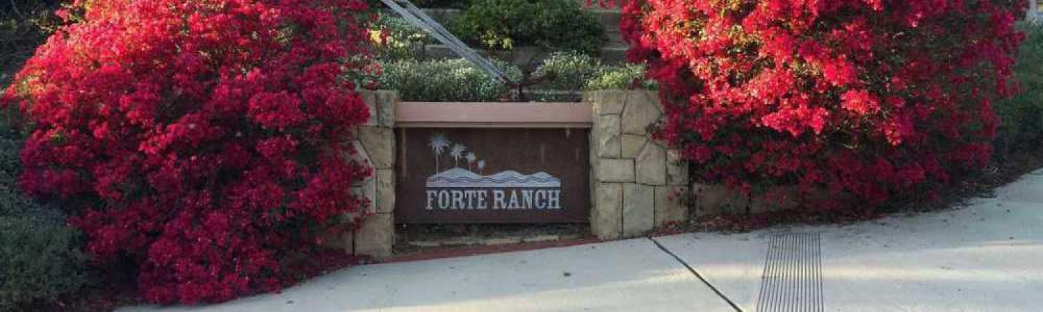 Requires upgraded plan