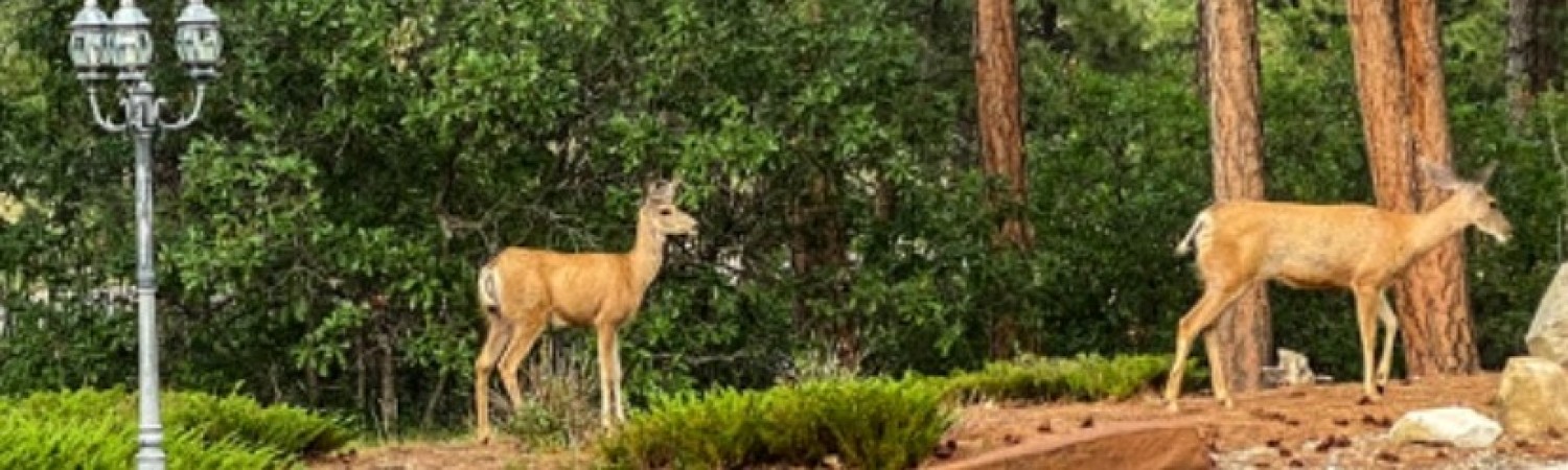 Account Settings | Kelty Farms HOA