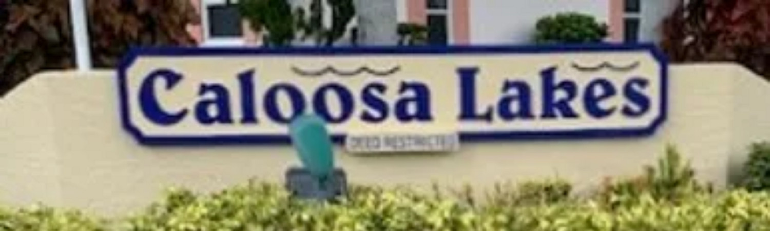 Caloosa Lakes | POA in Sun City Center, FL