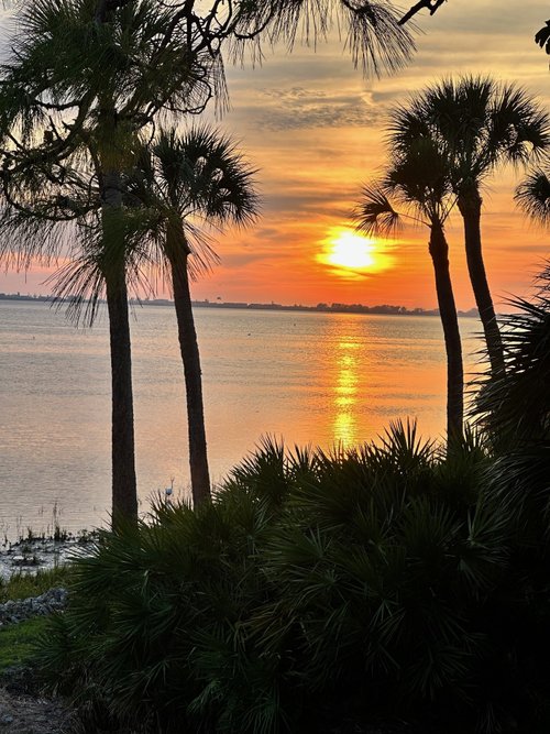 Bayside Terraces | COA in Bradenton, FL