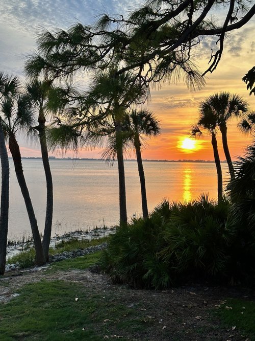 Bayside Terraces | COA in Bradenton, FL