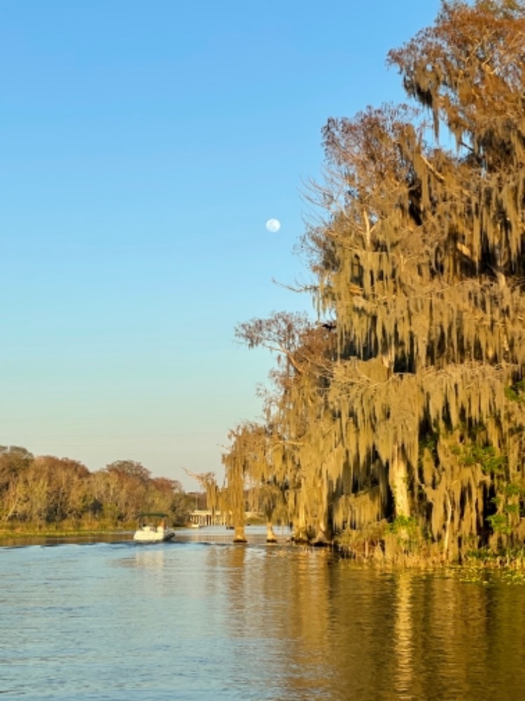 Western Shores Association, Second Addition | Community in Leesburg, FL